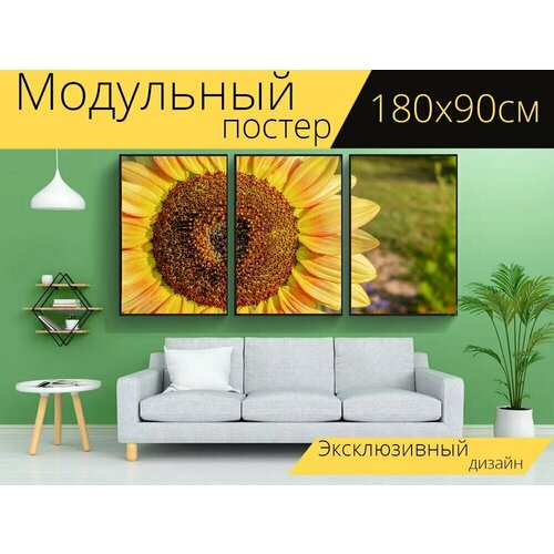 Модульный постер "Подсолнух, цветок, цветет" 180 x 90 см. для интерьера