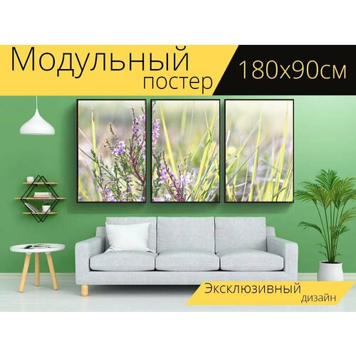 Модульный постер "Вереск, цветок, завод" 180 x 90 см. для интерьера