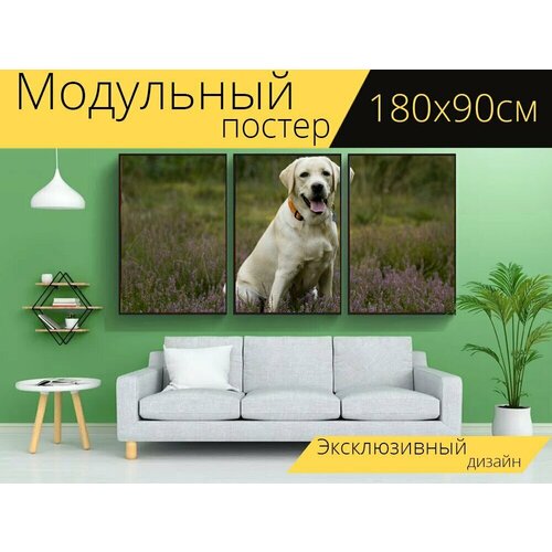 Модульный постер "Лабрадор, щенок" 180 x 90 см. для интерьера