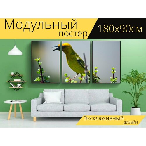Модульный постер "Желтый ткач, птица, дикая природа" 180 x 90 см. для интерьера