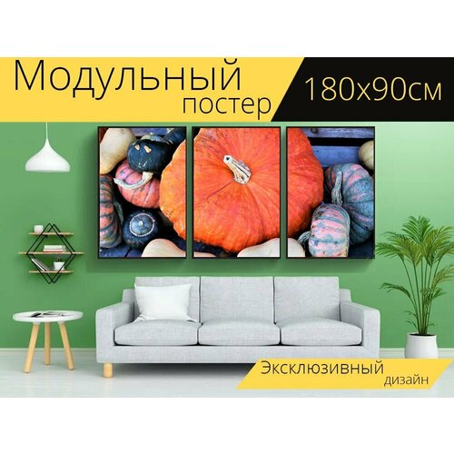 Модульный постер "Оранжевый, декоративные тыквы, овощи" 180 x 90 см. для интерьера