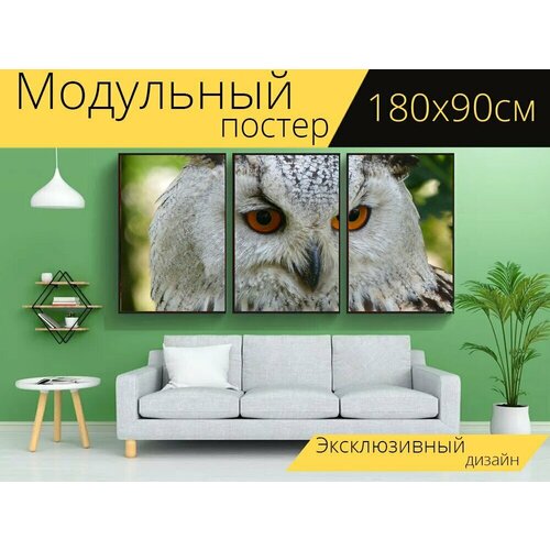Модульный постер "Сова, птица, животное" 180 x 90 см. для интерьера