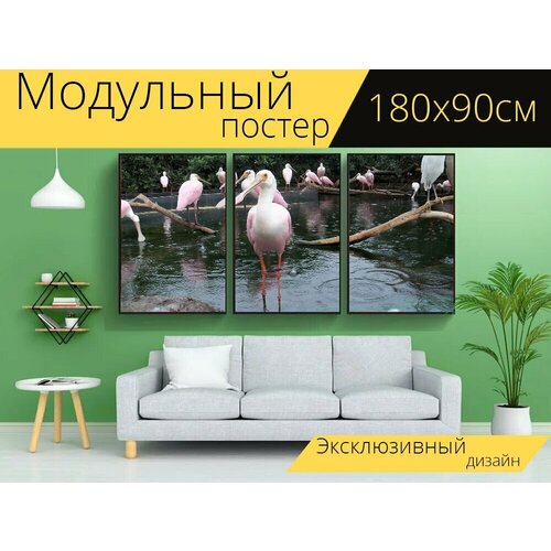 Модульный постер "Фламинго, зоопарк, перо" 180 x 90 см. для интерьера