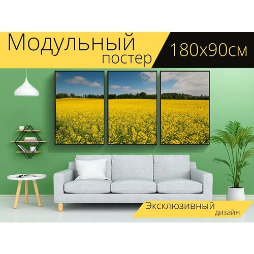 Модульный постер "Желтый, цветок, цветы" 180 x 90 см. для интерьера