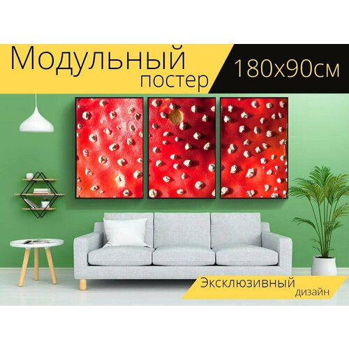 Модульный постер "Поганка, мухомор мухомор, гриб" 180 x 90 см. для интерьера