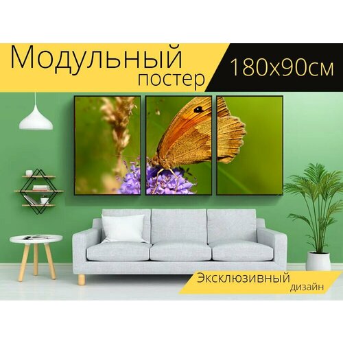 Модульный постер "Бабочка, насекомое, животное" 180 x 90 см. для интерьера