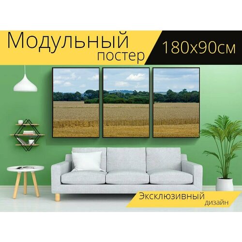 Модульный постер "Пшеница, поле пшеницы, посевы" 180 x 90 см. для интерьера
