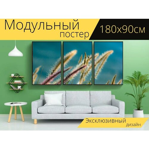 Модульный постер "Камыши, трава, дикая трава" 180 x 90 см. для интерьера
