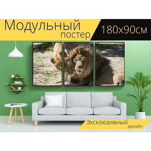 Модульный постер "Лев, львица, дикая природа" 180 x 90 см. для интерьера