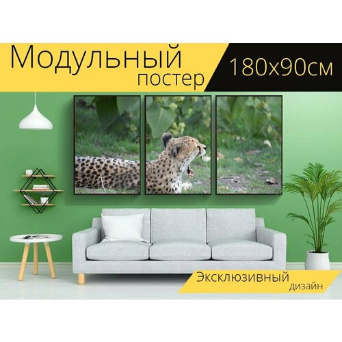 Модульный постер "Гепард, природа, дикий кот" 180 x 90 см. для интерьера