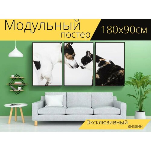 Модульный постер "Собака, кошка, кошки" 180 x 90 см. для интерьера