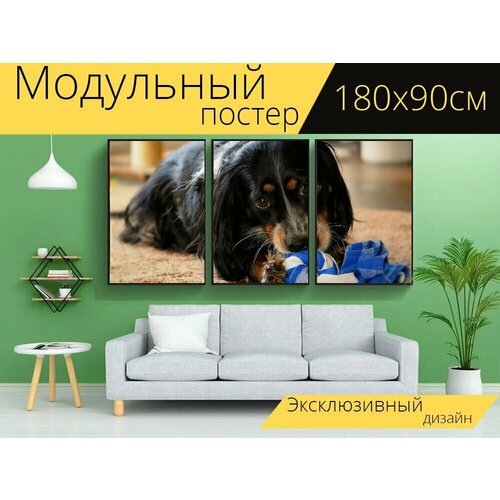 Модульный постер "Собака, гибридный, домашнее животное" 180 x 90 см. для интерьера
