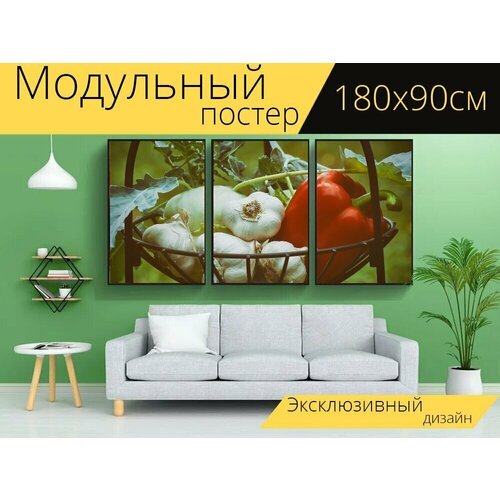 Модульный постер "Овощи, перец, чеснок" 180 x 90 см. для интерьера