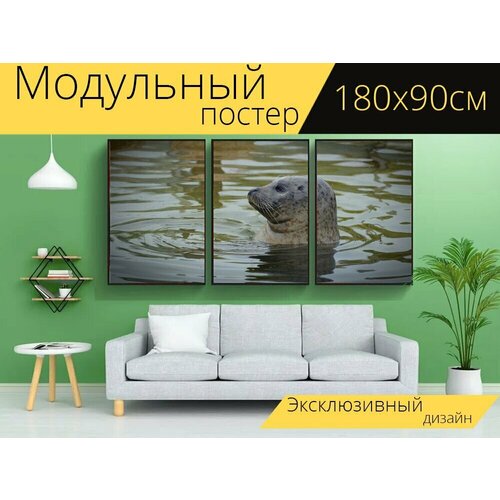 Модульный постер "Тюлень, станция уплотнения, млекопитающее" 180 x 90 см. для интерьера
