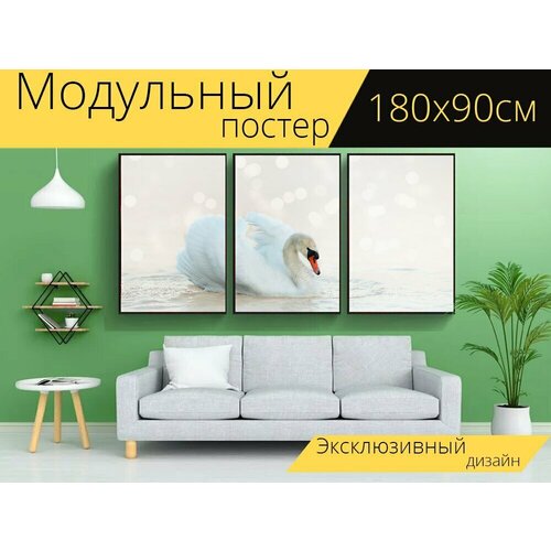 Модульный постер "Лебедь, белый, природа" 180 x 90 см. для интерьера