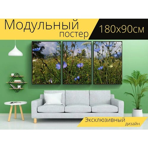 Модульный постер "Альпийский луг, летом, цветы" 180 x 90 см. для интерьера