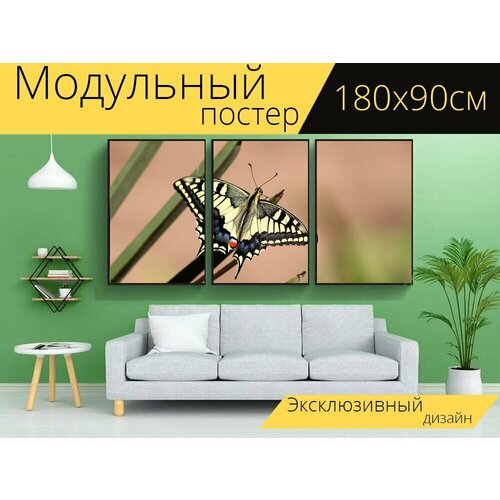 Модульный постер "Бабочка, ласточкин хвост, папилио махаон" 180 x 90 см. для интерьера