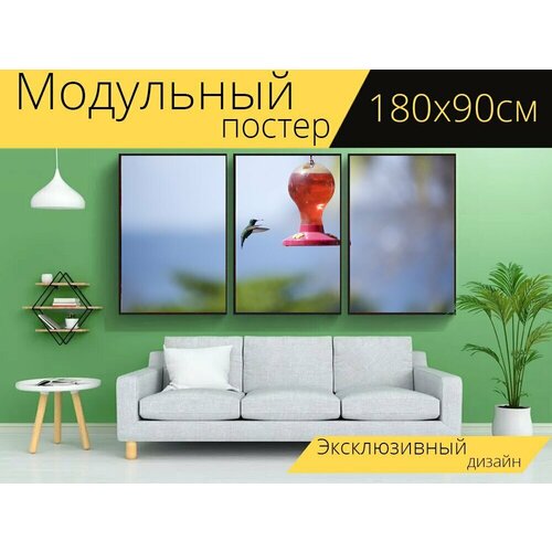 Модульный постер "Природа, колибри, птица" 180 x 90 см. для интерьера