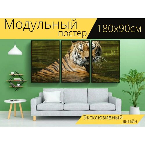 Модульный постер "Сибирский тигр, вода, принимать ванну" 180 x 90 см. для интерьера