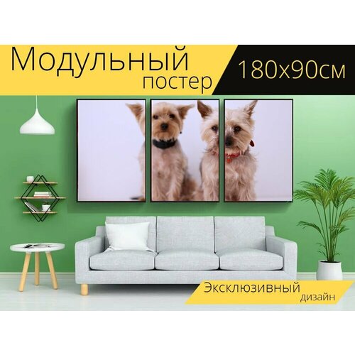 Модульный постер "Собака, йоркширский терьер, париж" 180 x 90 см. для интерьера