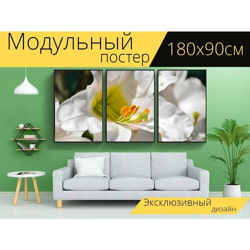 Модульный постер "Лили, белая лилия, цветы" 180 x 90 см. для интерьера