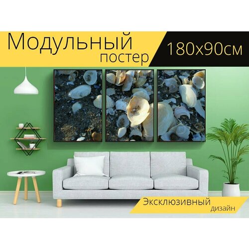 Модульный постер "Моллюски, подсветка, балтийское море" 180 x 90 см. для интерьера
