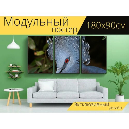 Модульный постер "Веерный голубь, птица, голова" 180 x 90 см. для интерьера