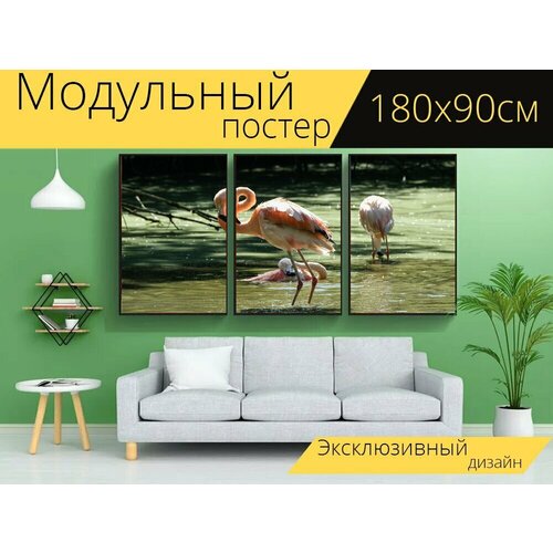 Модульный постер "Фламинго, птицы, вода" 180 x 90 см. для интерьера