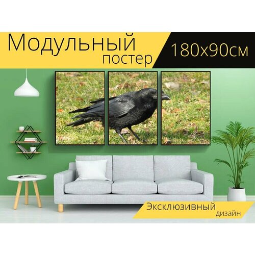 Модульный постер "Ворона, чернить, птица" 180 x 90 см. для интерьера