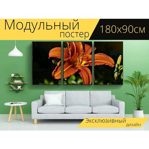 Модульный постер "Лили, оранжевый лили, цветок" 180 x 90 см. для интерьера