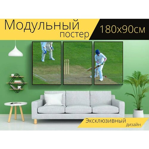 Модульный постер "Крикет, командные виды спорта, метатель" 180 x 90 см. для интерьера