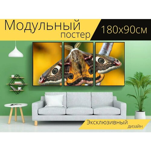 Модульный постер "Моль, чешуекрылые, насекомое" 180 x 90 см. для интерьера