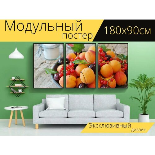 Модульный постер "Фрукты, тарелка с фруктами, абрикосы" 180 x 90 см. для интерьера