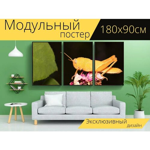 Модульный постер "Кузнечик, насекомое, природа" 180 x 90 см. для интерьера