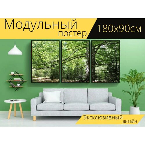 Модульный постер "Лес, зеленый, гора" 180 x 90 см. для интерьера