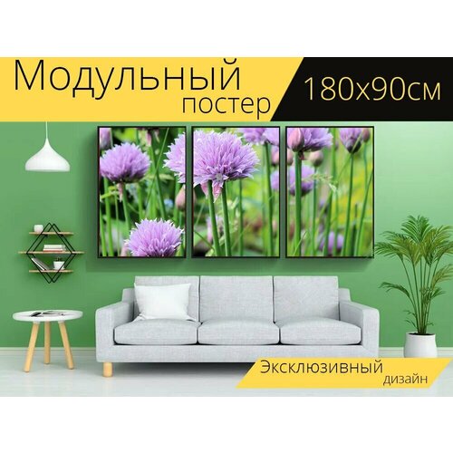 Модульный постер "Чеснок, цветущий, природа" 180 x 90 см. для интерьера