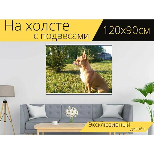 Картина на холсте "Собака, сидя, чихуахуа" с подвесами 120х90 см. для интерьера