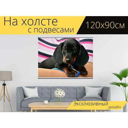 Картина на холсте "Такса, щенок, домашний питомец" с подвесами 120х90 см. для интерьера