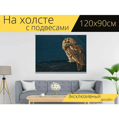 Картина на холсте "Неясыть, сова, дерево" с подвесами 120х90 см. для интерьера