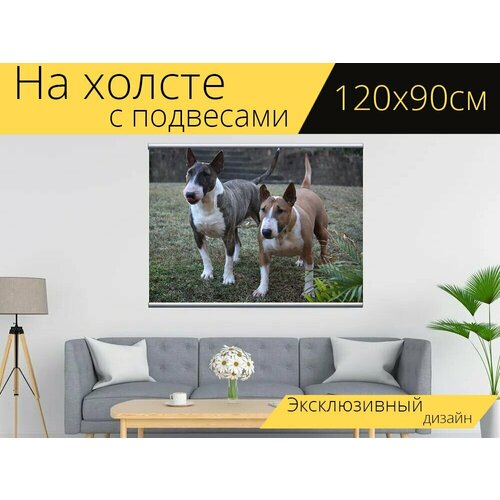 Картина на холсте "Собака, бультерьер, миниатюра" с подвесами 120х90 см. для интерьера