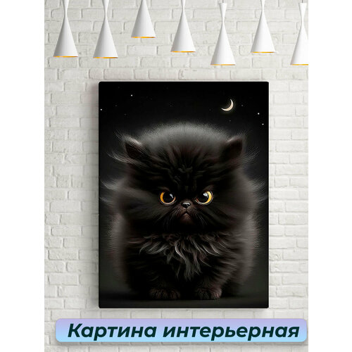 Картины для интерьера 30х40 Черный злобный котенок ночь