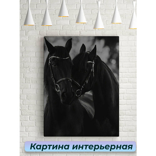 Картины для интерьера 30х40 Черные лошади пара