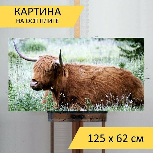 Картина на ОСП 125х62 см. "Горный скот, рога, волосатый" горизонтальная, для интерьера, с креплениями