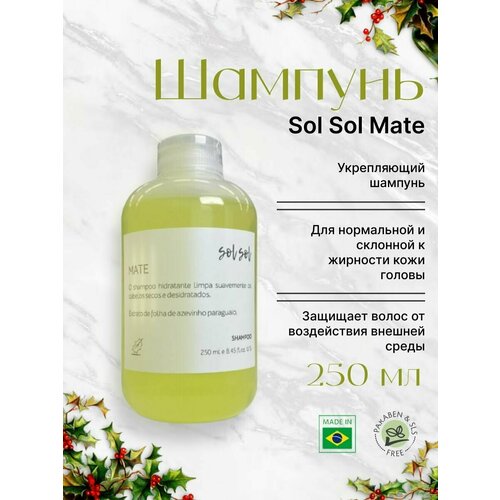 Sol Sol Mate Шампунь с экстрактом листьев падуба 250ml