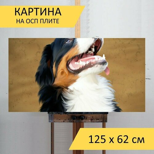 Картина на ОСП 125х62 см. "Бернский зенненхунд, собака, животное" горизонтальная, для интерьера, с креплениями