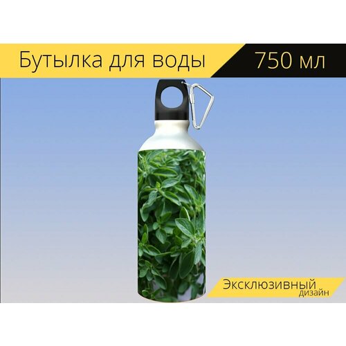 Бутылка фляга для воды "Орегано, травы, кухня" 750 мл. с карабином и принтом