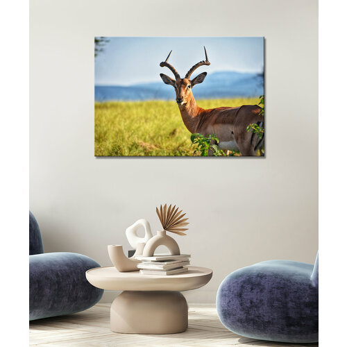 Картина - коричневая антилопа, антилопа , антилопа с рогами 30х40