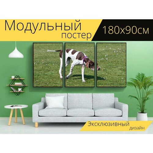 Модульный постер "Английский пойнтер, указатель, собака" 180 x 90 см. для интерьера