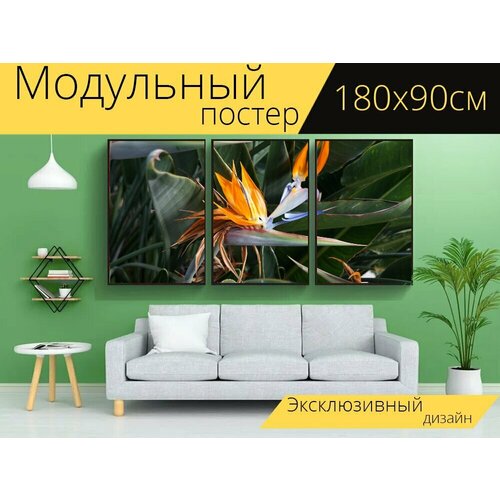 Модульный постер "Королевская стрелиция, цветок, оранжевый" 180 x 90 см. для интерьера