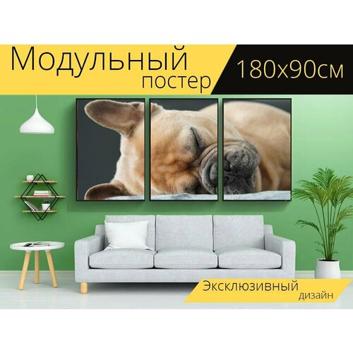 Модульный постер "Французский бульдог, собака, спать" 180 x 90 см. для интерьера